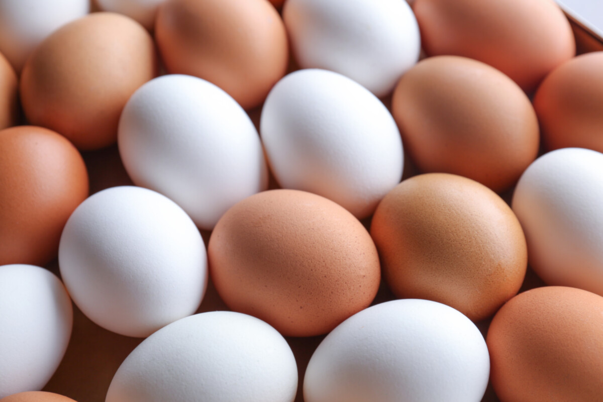 Valley Fresh Foods - High Quality Fresh Eggs for Over 70 Years