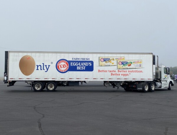 Egglands Best - Valley Fresh Foods