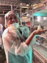Career Opportunities - Valley Fresh Foods