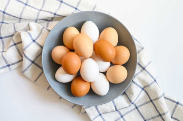 egg facts and recipes- Valley Fresh Foods